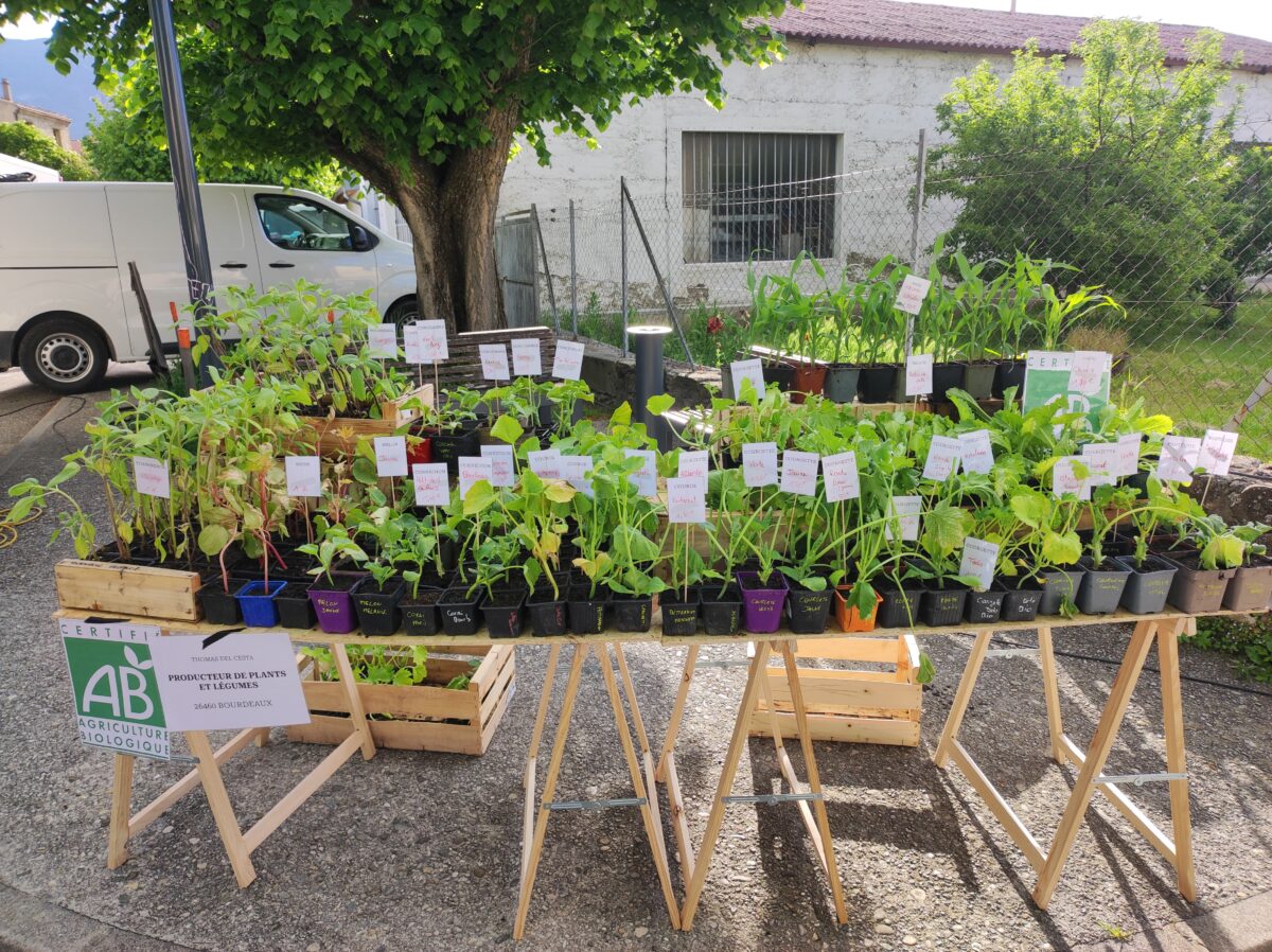 Thomas, maraîcher à Bourdeaux. – Les échos de Couspeau